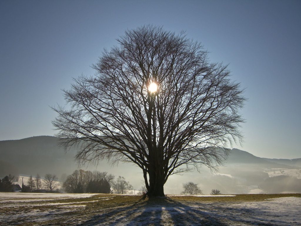 Simple Winter Solstice Traditions - ULC Blog - Universal Life Church